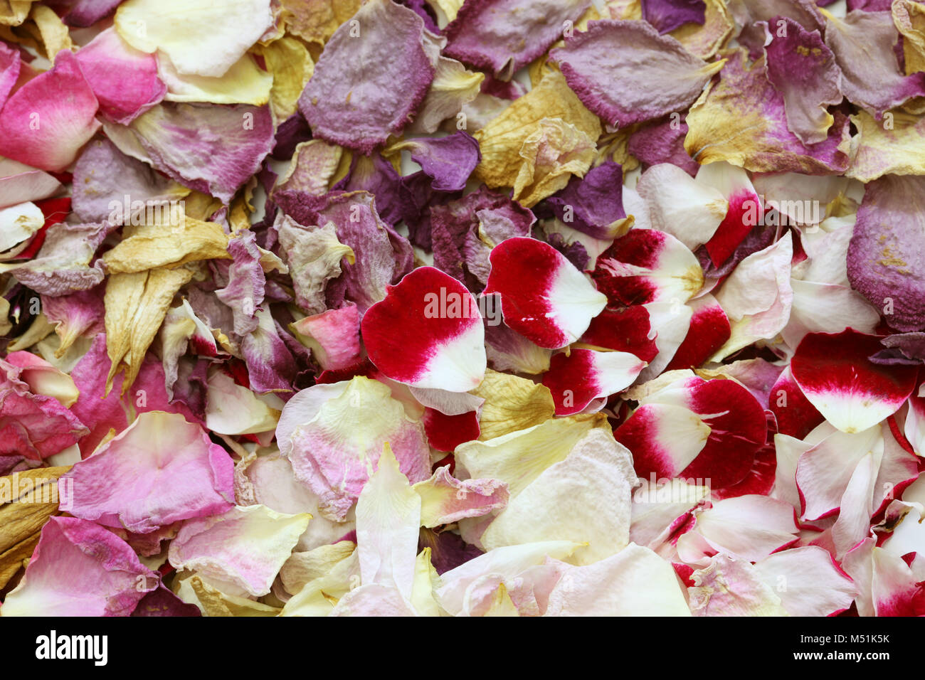 background of homemade dried rose petals Stock Photo - Alamy