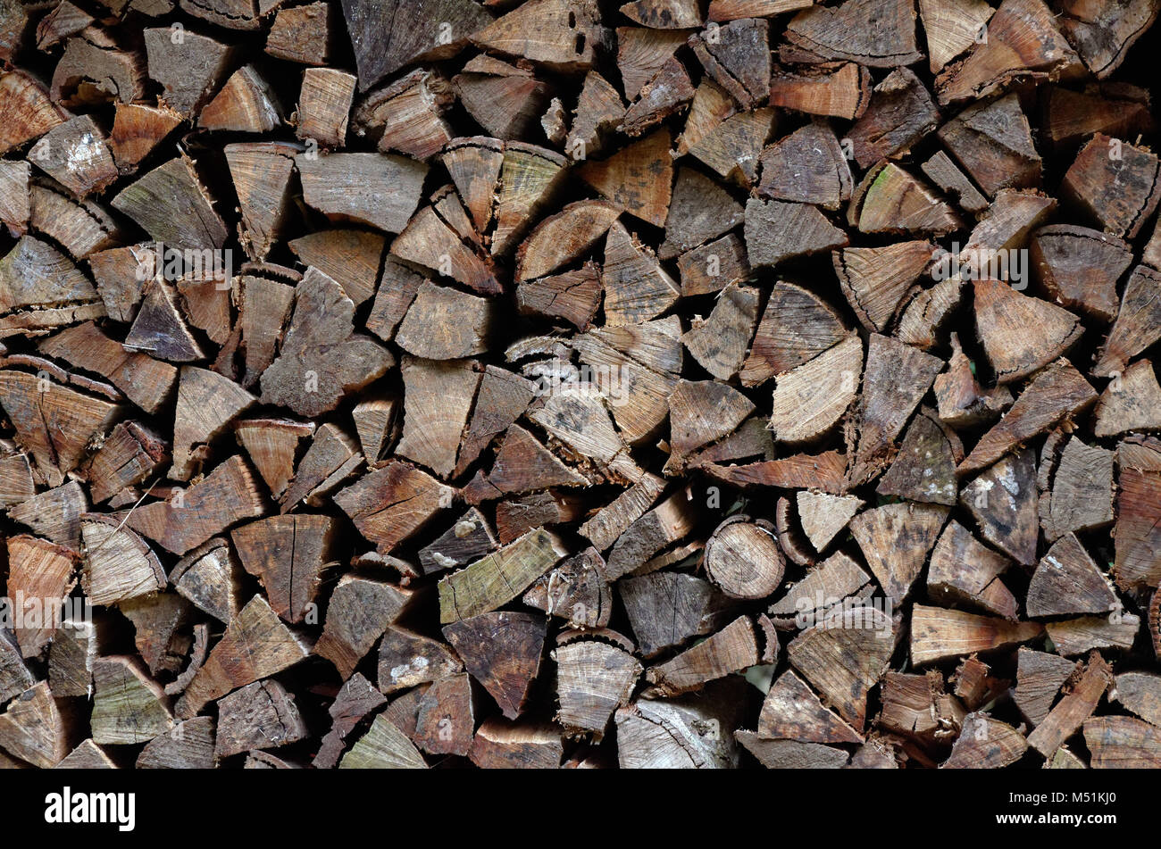 Wood log slices hi-res stock photography and images - Alamy