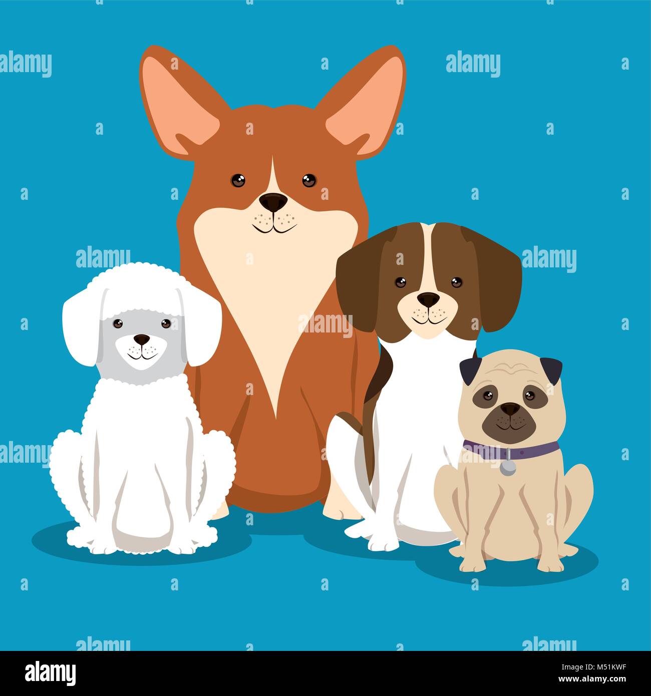 group of dogs breds pets friendly Stock Vector Image & Art - Alamy