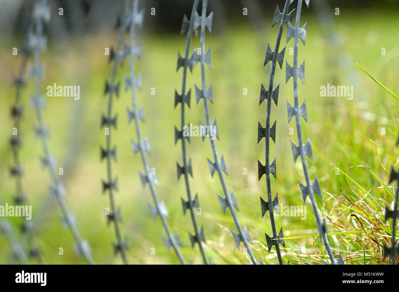 Arrow barbed hi-res stock photography and images - Alamy