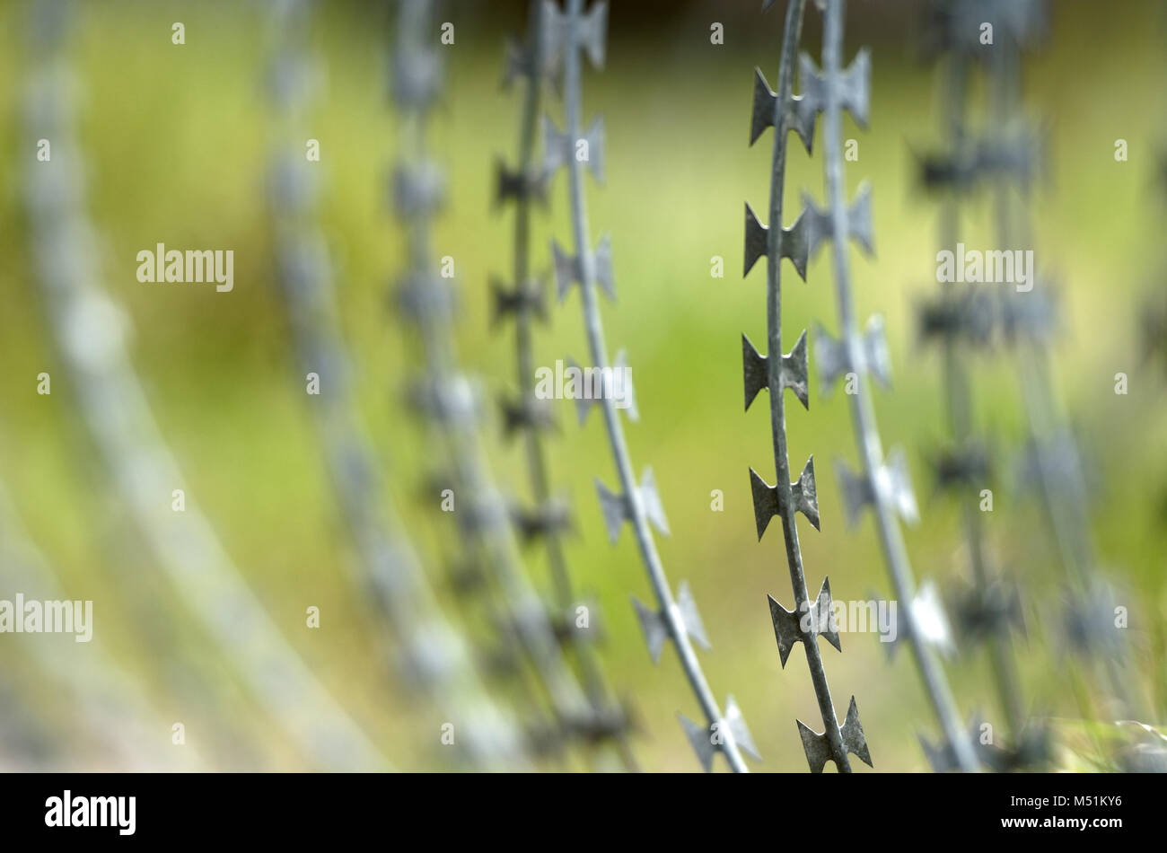 Military barbed in La Reunion Stock Photo - Alamy
