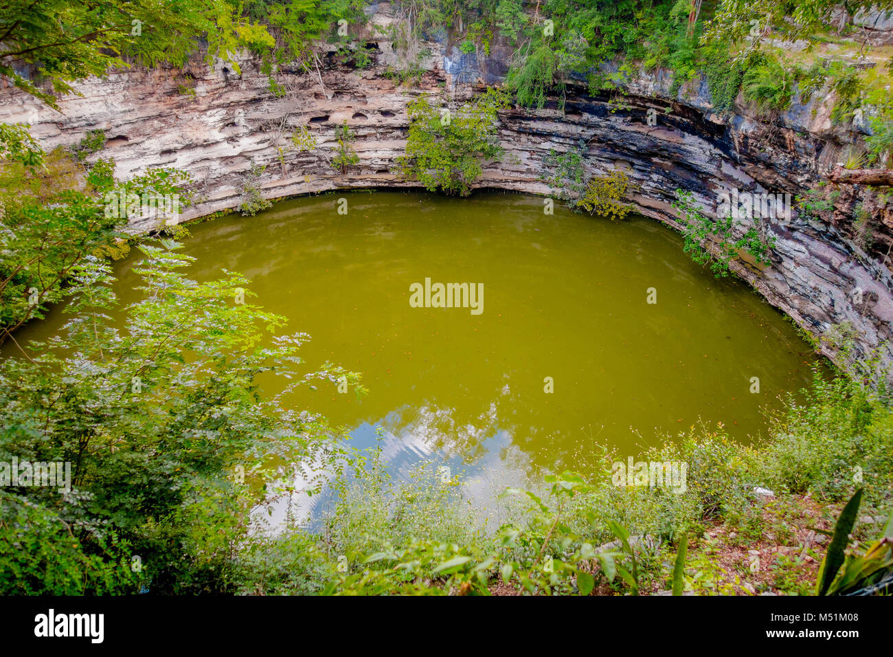 Mexico cenote fish hi-res stock photography and images - Alamy