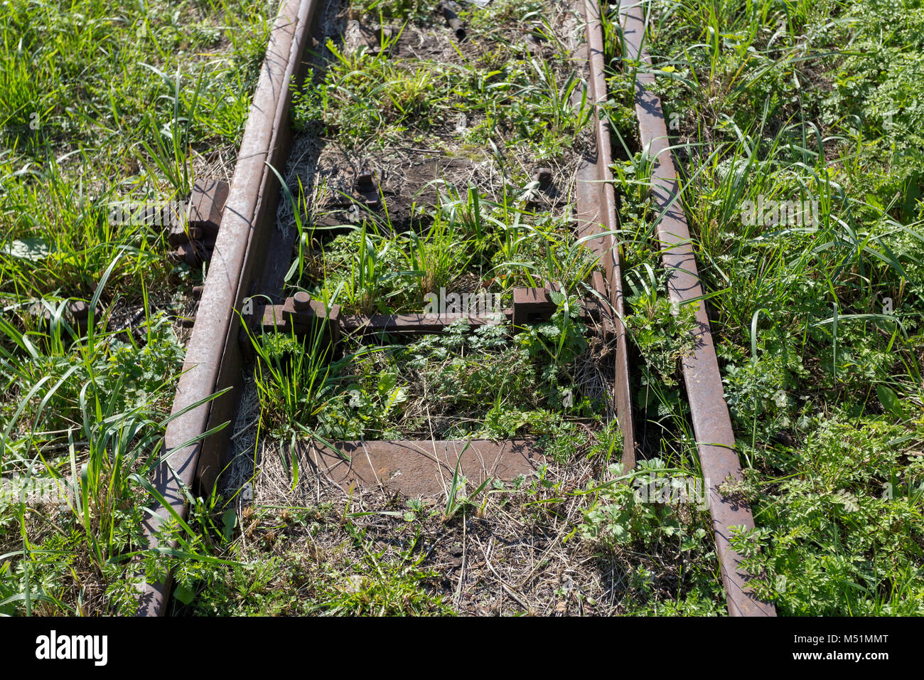 Old abandoned railway overgrown with grass Stock Photo - Alamy