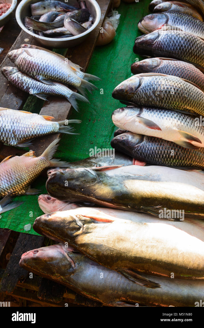 Hsipaw: market, fish, , Shan State, Myanmar (Burma Stock Photo - Alamy