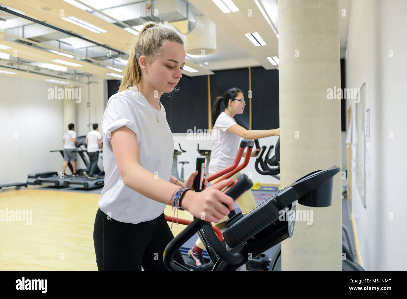 Indoor Gym Equipment For Primary Schools at Jai Patrick blog
