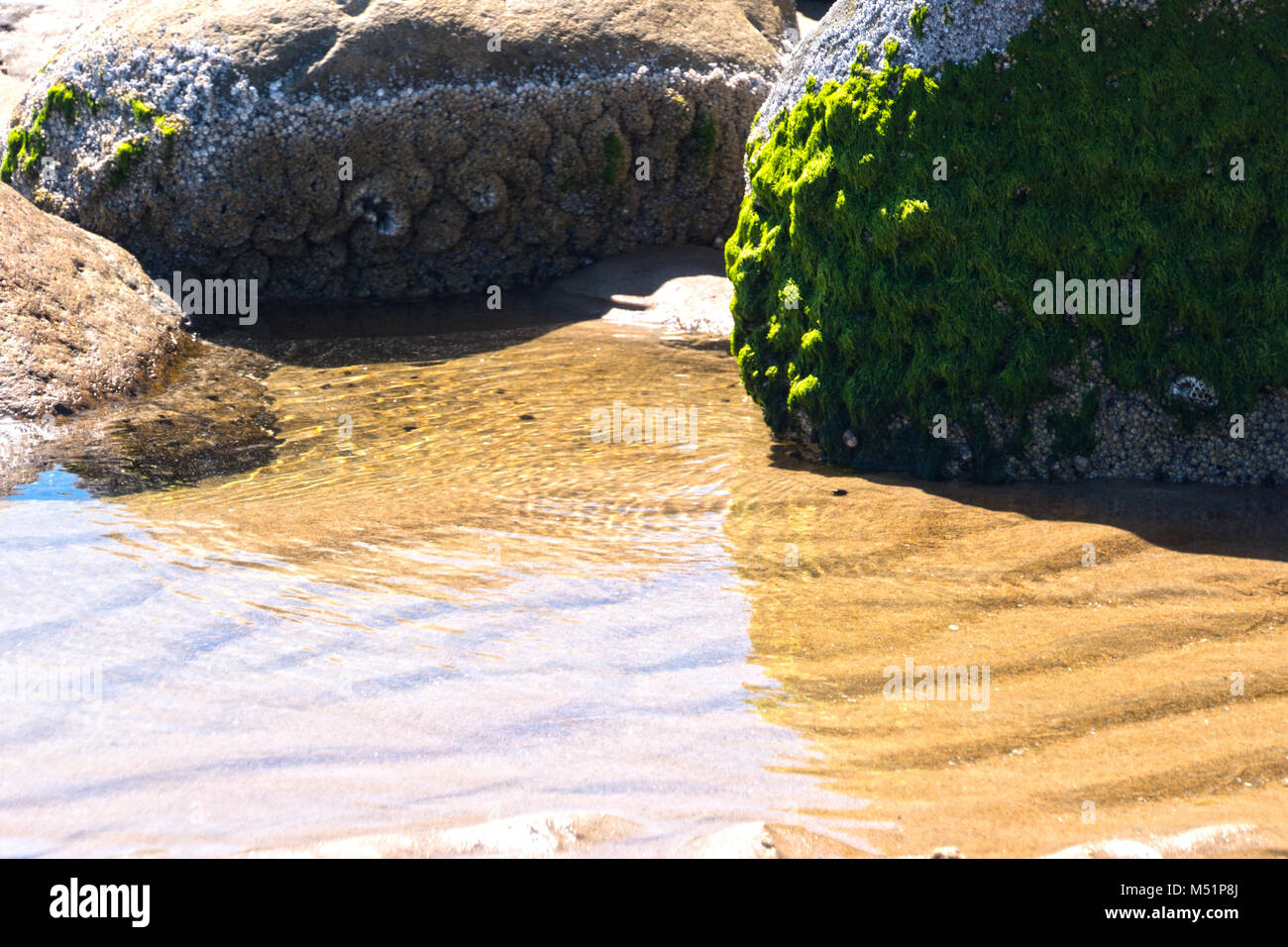 Ripples reflections from the sunshine Stock Photo - Alamy