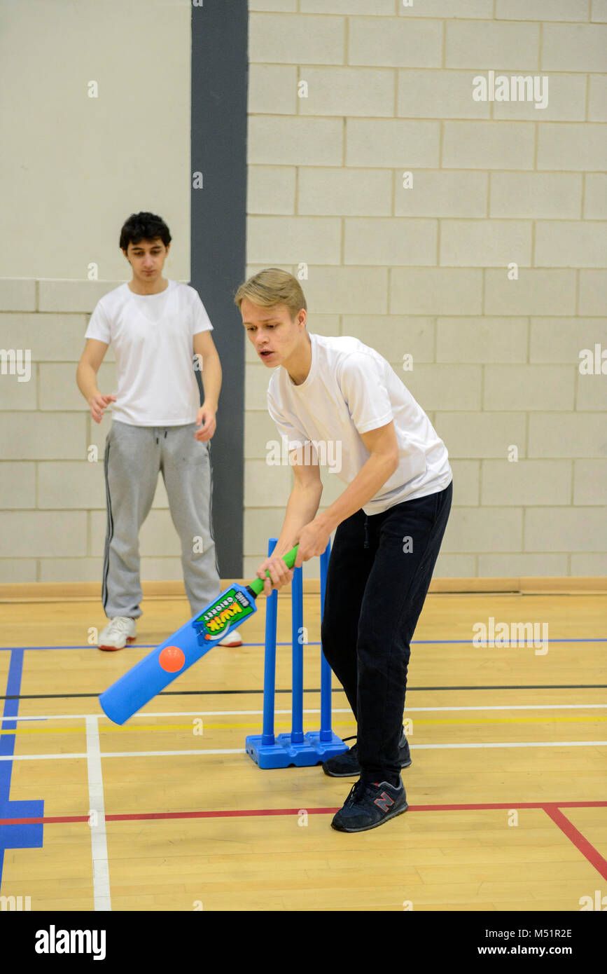 school students playing sports in the indoor sports hall at their ...