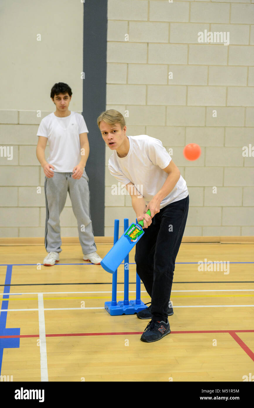school students playing sports in the indoor sports hall at their ...