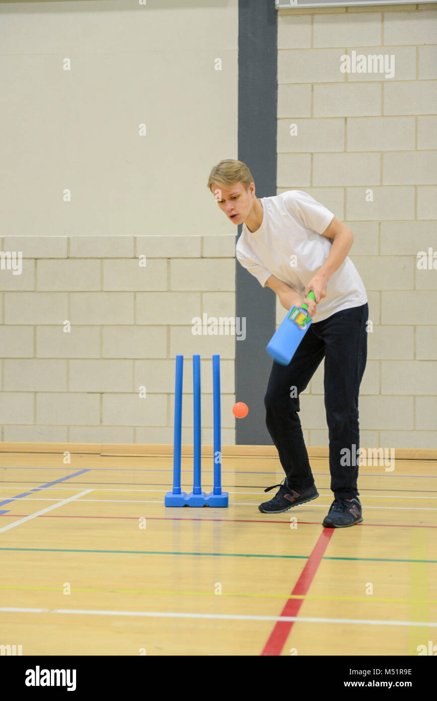 school students playing sports in the indoor sports hall at their ...