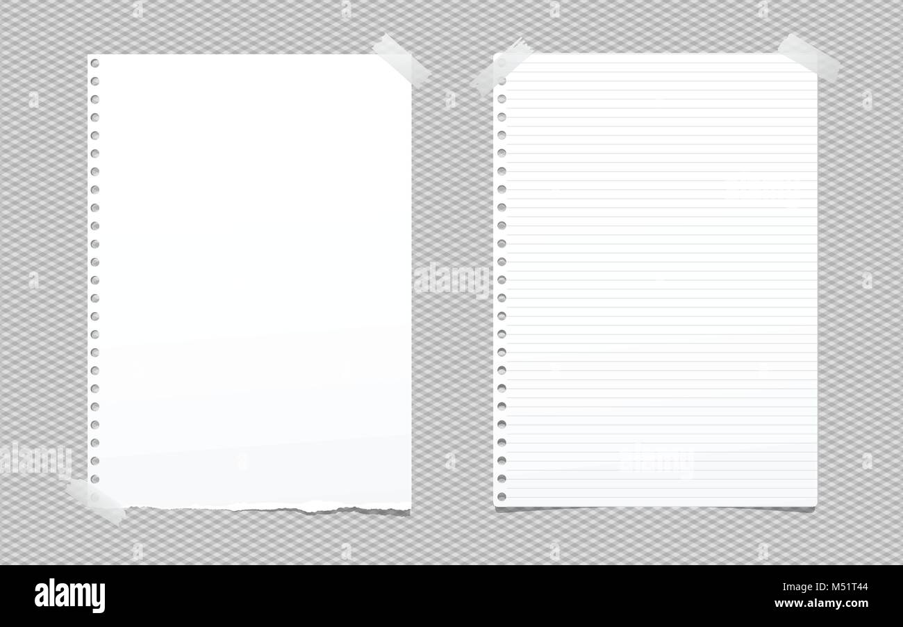 Torn blank and lined white note, notebook paper sheet for text stuck ...