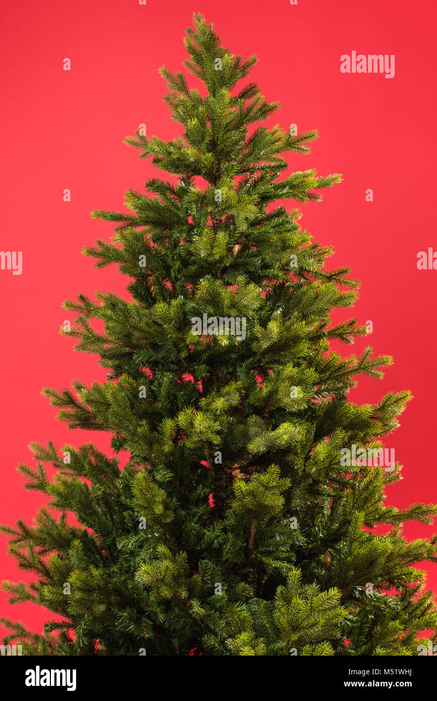 Christmas tree on red background Stock Photo - Alamy