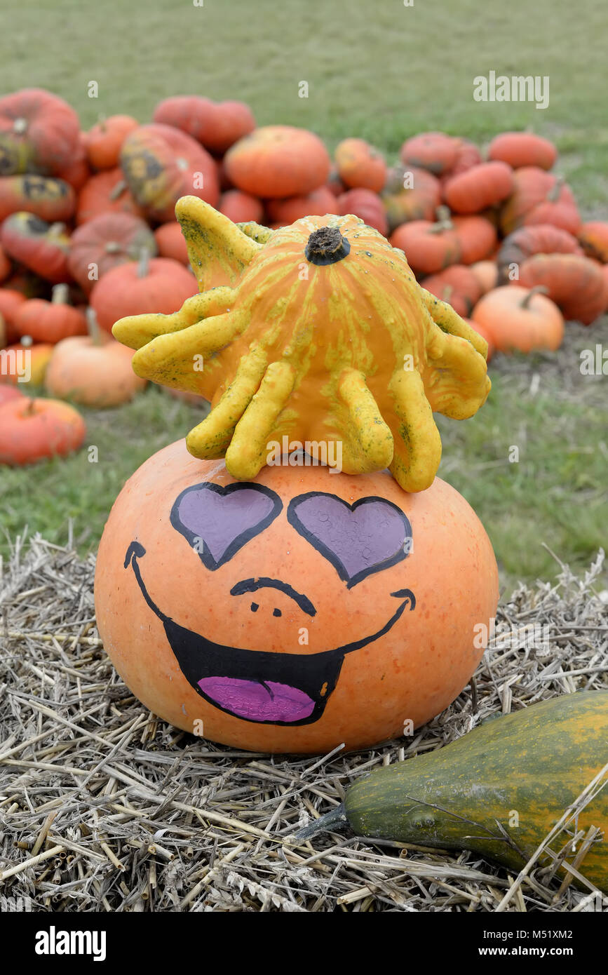 pumpkin with face Stock Photo - Alamy