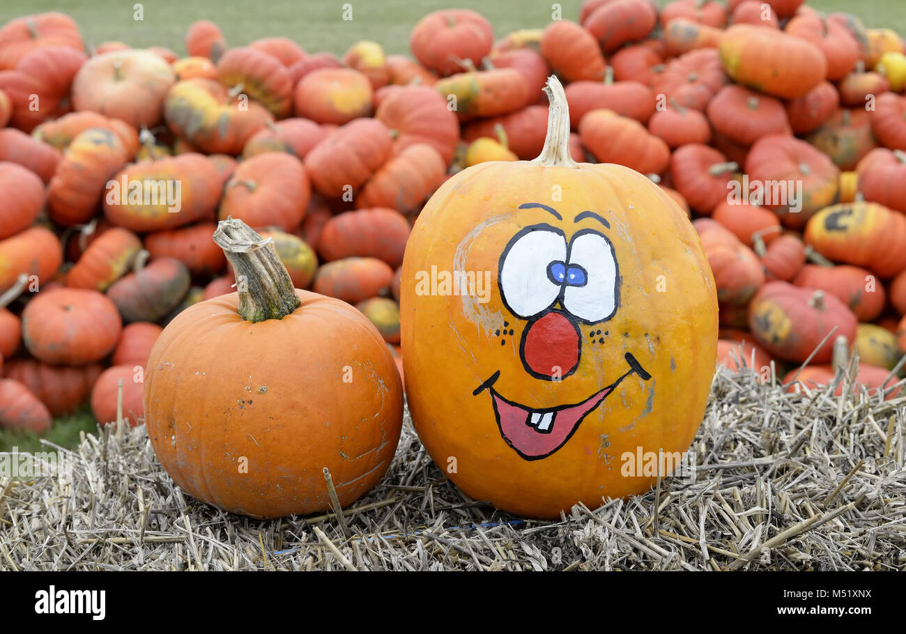 pumpkin with face Stock Photo - Alamy