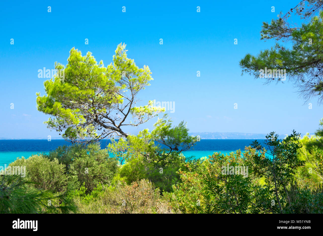 Blue sea shore under clear sky Stock Photo - Alamy