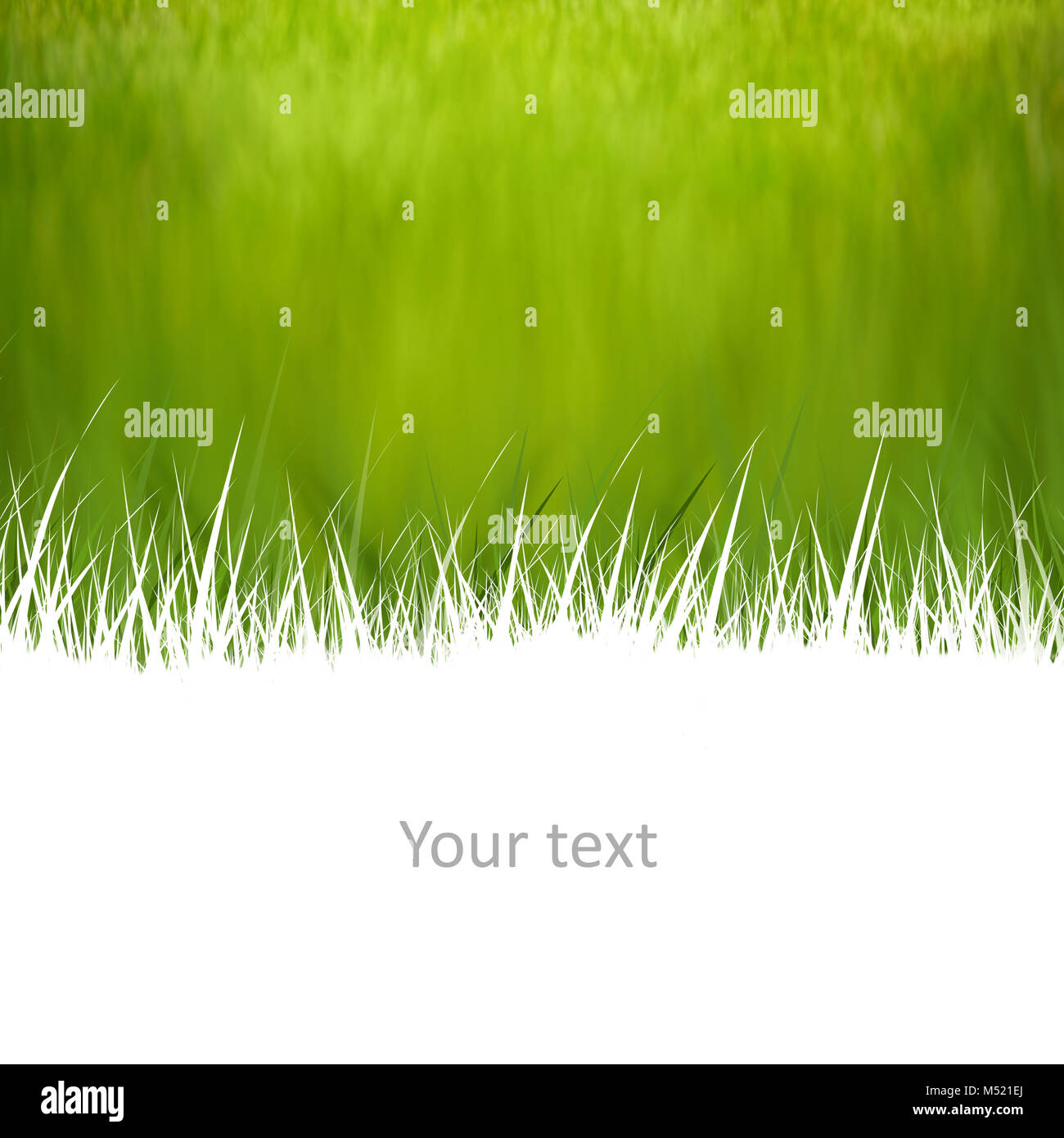 Creative natural background with room for your text Stock Photo - Alamy