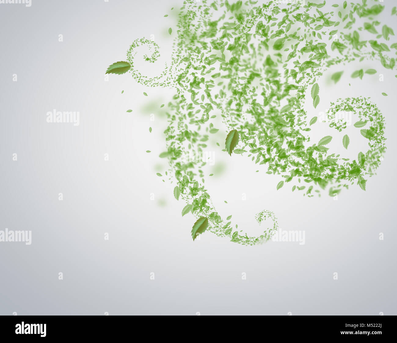 Spring and summer background: leaf tornado Stock Photo - Alamy