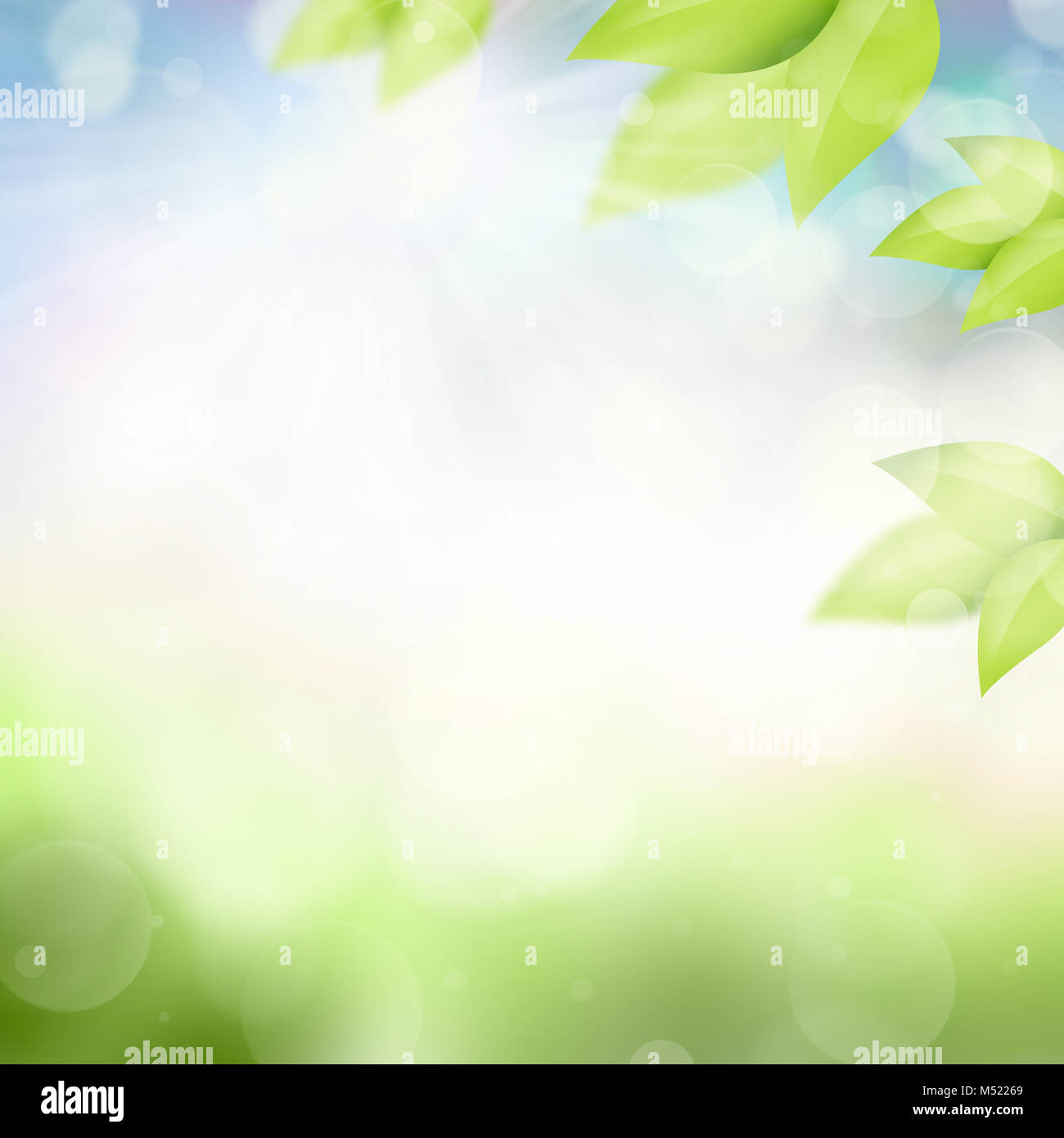 Natural spring and summer background with selective focus and leaves on ...