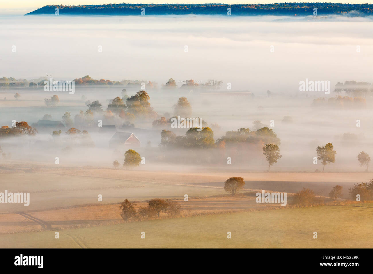 Morning fog over the countryside Stock Photo - Alamy