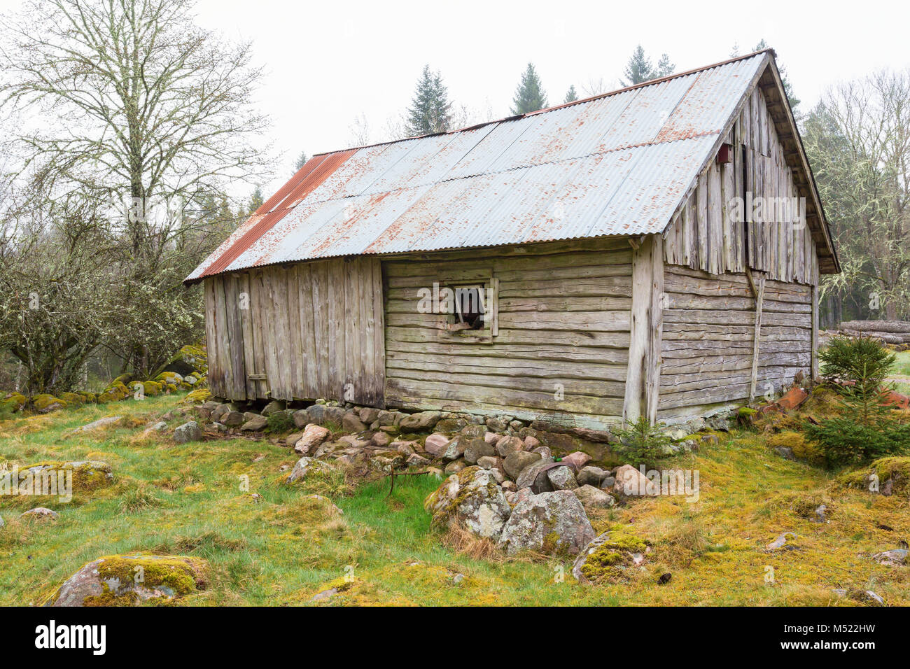 Old shack in woods hi-res stock photography and images - Alamy