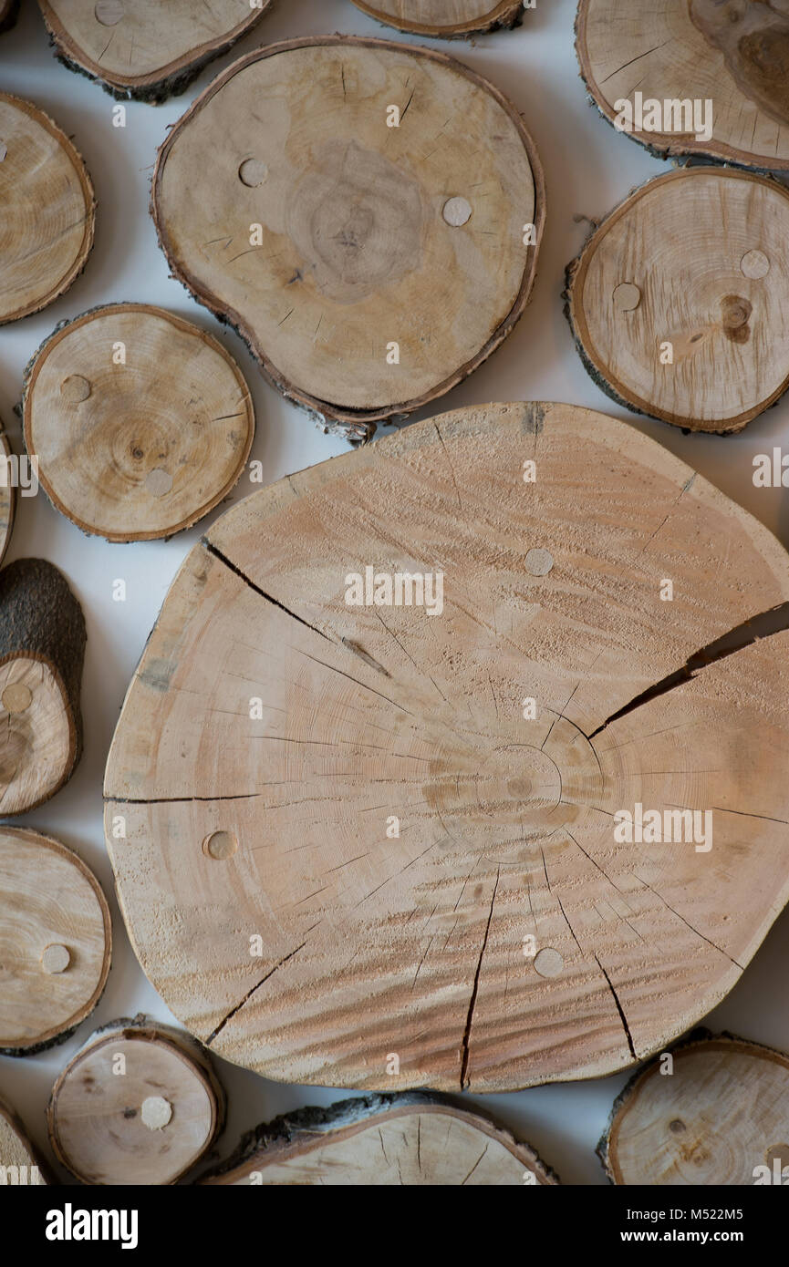 Ecological style hi-res stock photography and images - Alamy