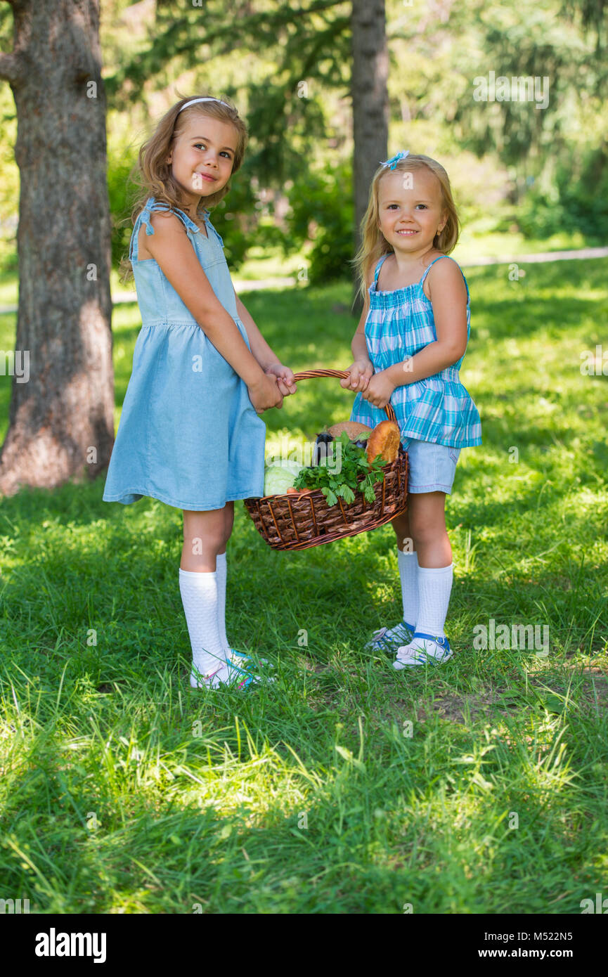 Two little girls carrying basket with organic food for picnic, outdoors ...