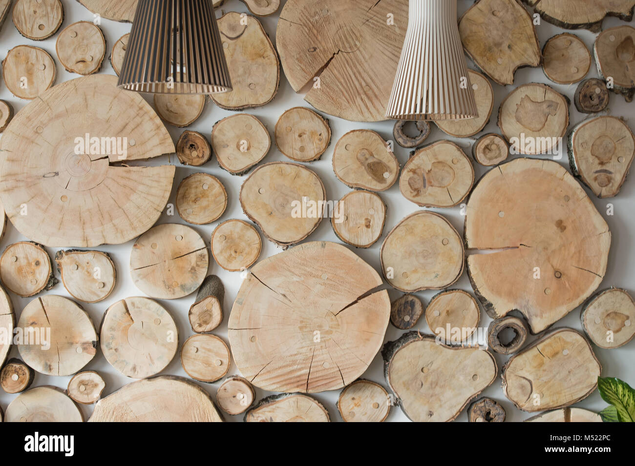 Ecological style hi-res stock photography and images - Alamy