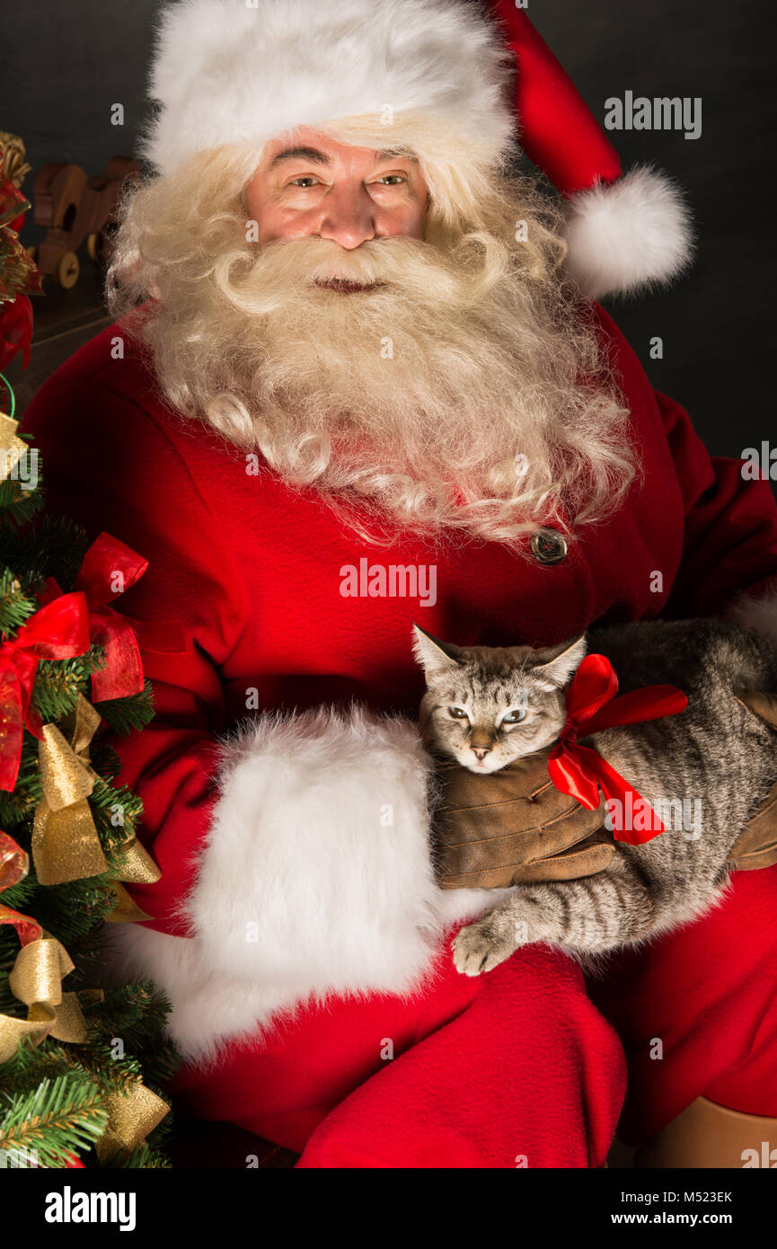 Santa Claus making a most wanted gift to a child - he gives tabby cat ...