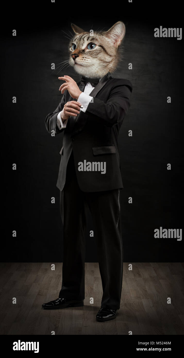 Business man with cat head Stock Photo - Alamy
