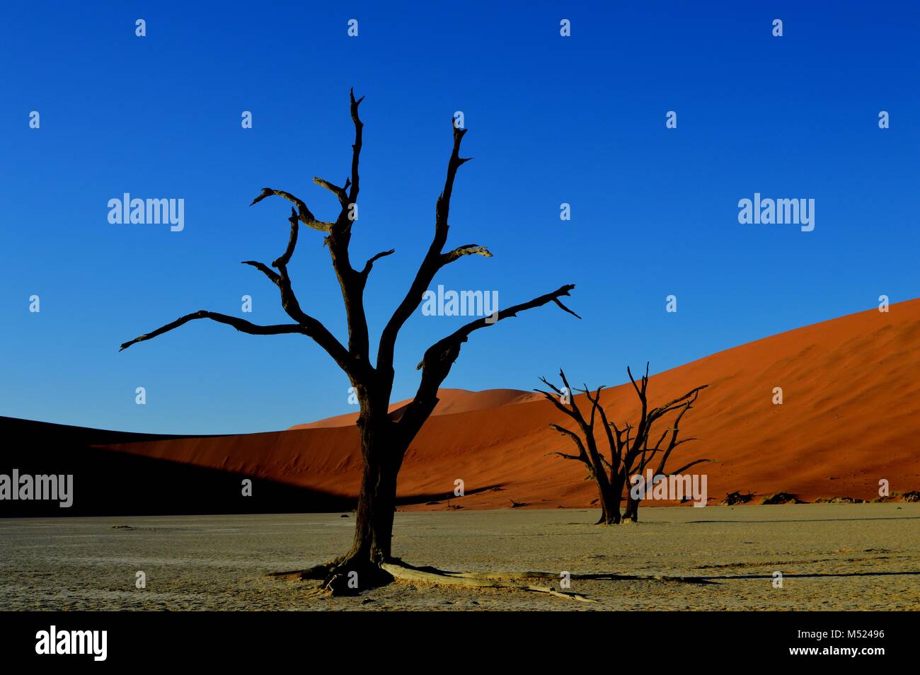Surreal desert landscape sossuscvlei, desert namibia Stock Photo - Alamy Surreal desert landscape sossuscvlei, desert namibia Stock Photo - Alamy