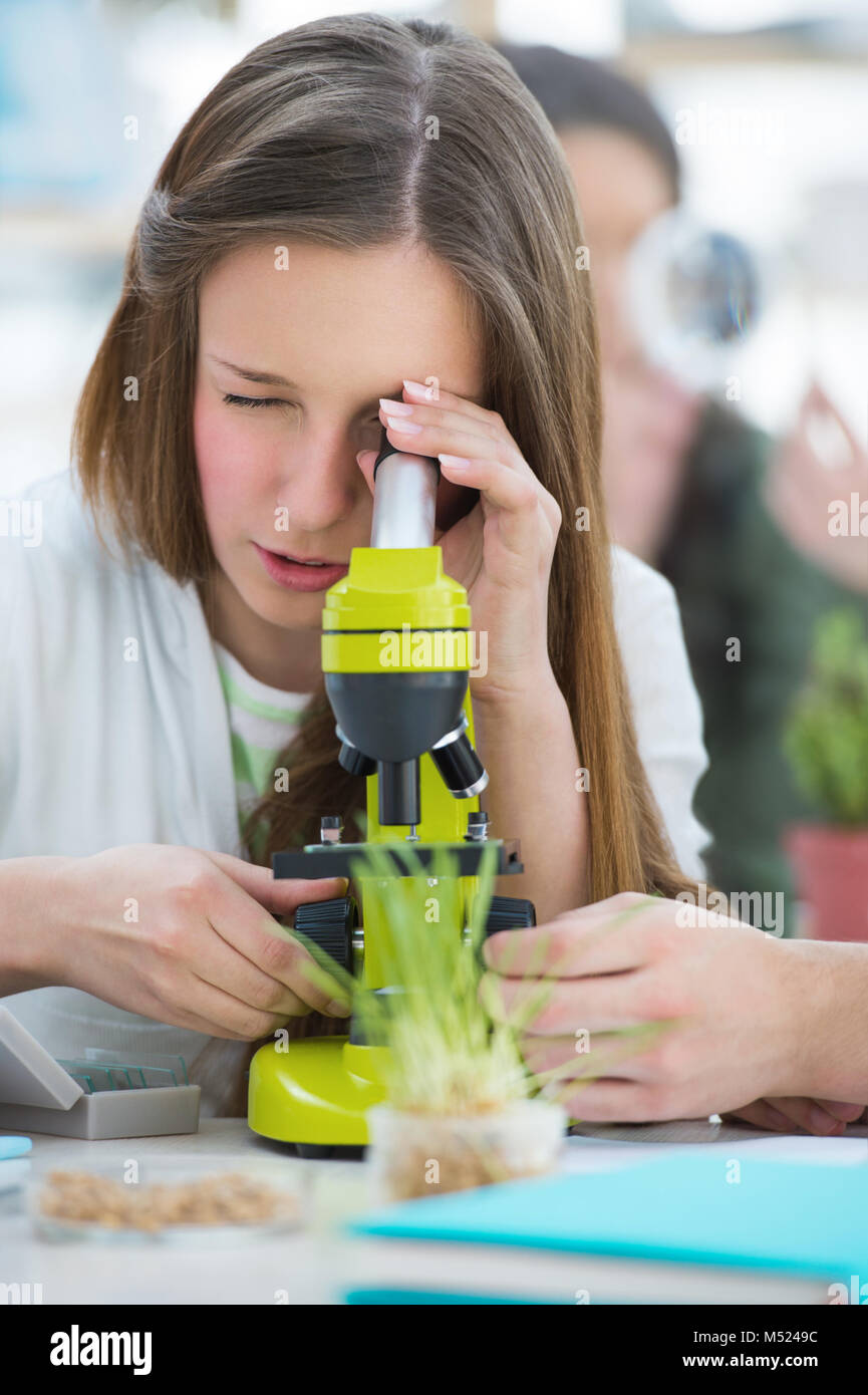 Biology students plant classroom hi-res stock photography and images ...