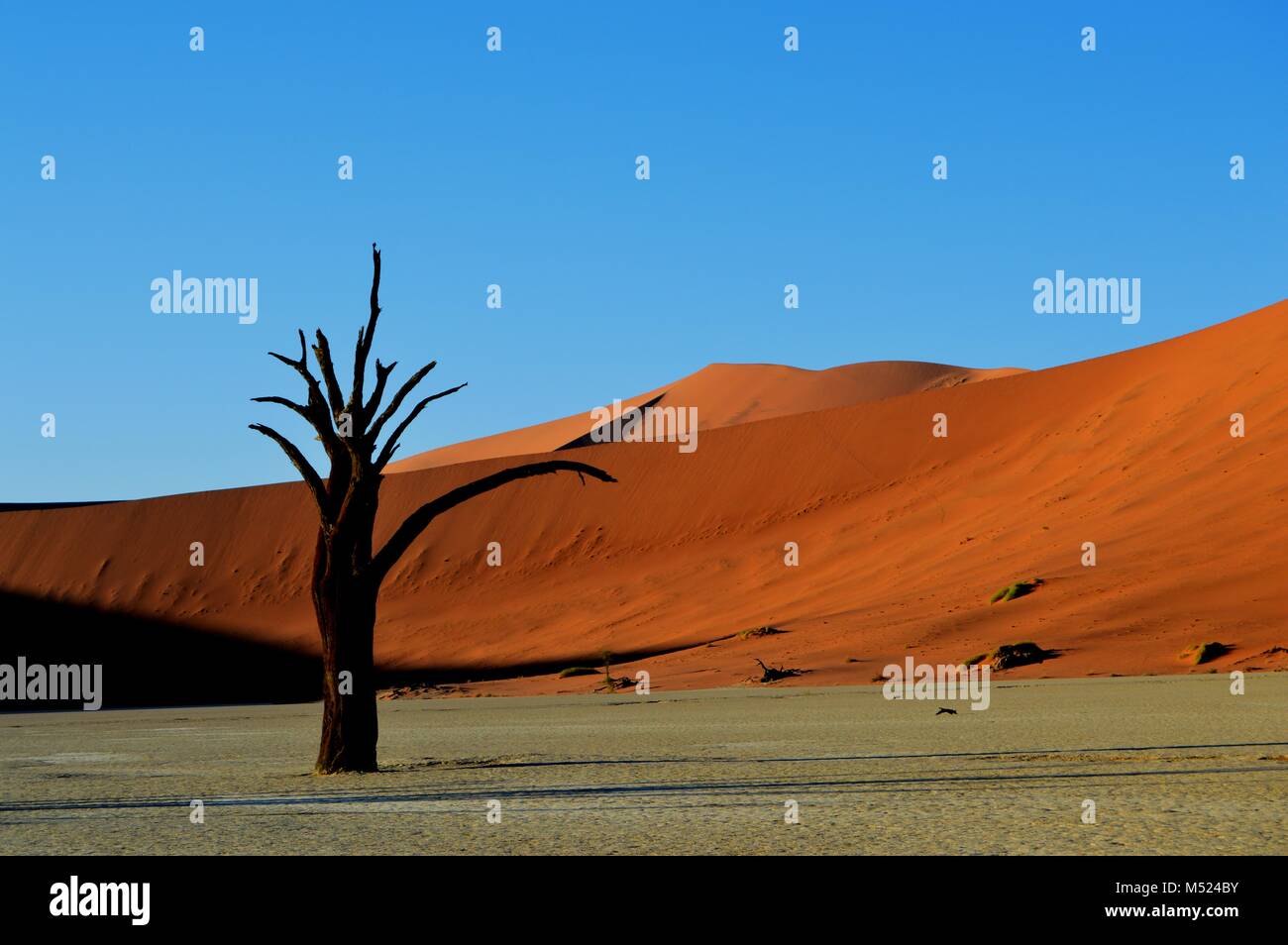Surreal desert landscape sossuscvlei, desert namibia Stock Photo - Alamy Surreal desert landscape sossuscvlei, desert namibia Stock Photo - Alamy