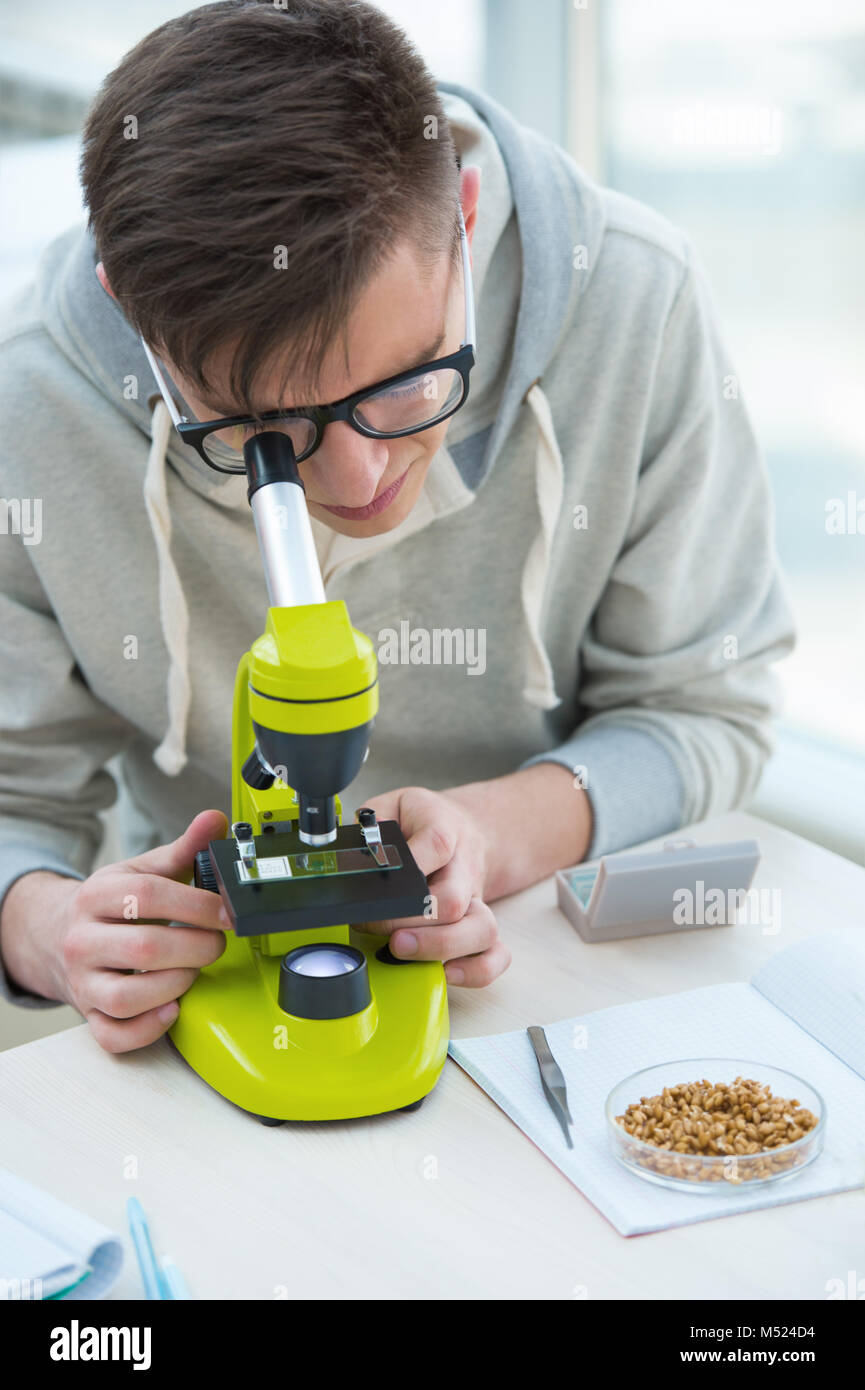 High School students. Handsome guy working at biology classroom ...
