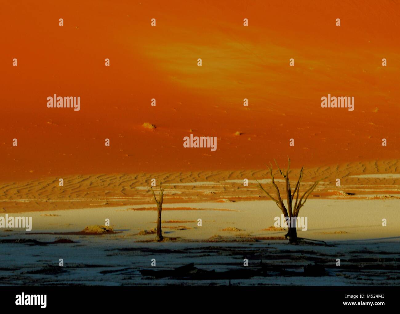 Surreal desert landscape sossuscvlei, desert namibia Stock Photo - Alamy