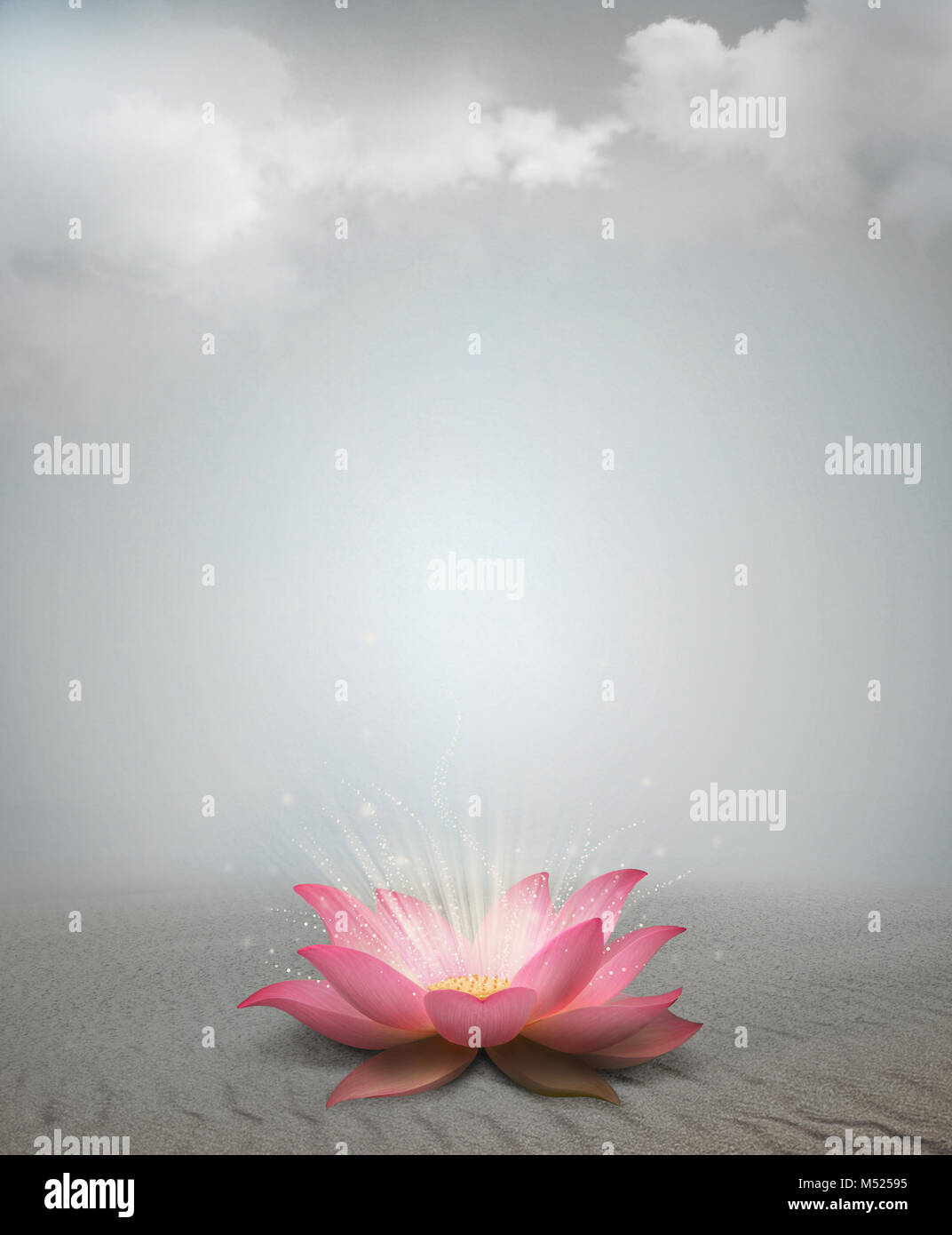 Glowing lotus flower hi-res stock photography and images - Alamy