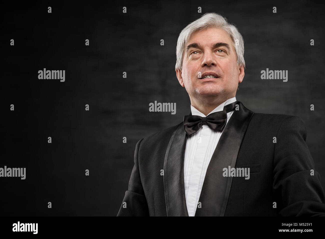 Portrait of a successful mature business man smiling - Copyspace Stock ... Portrait of a successful mature business man smiling - Copyspace Stock ...