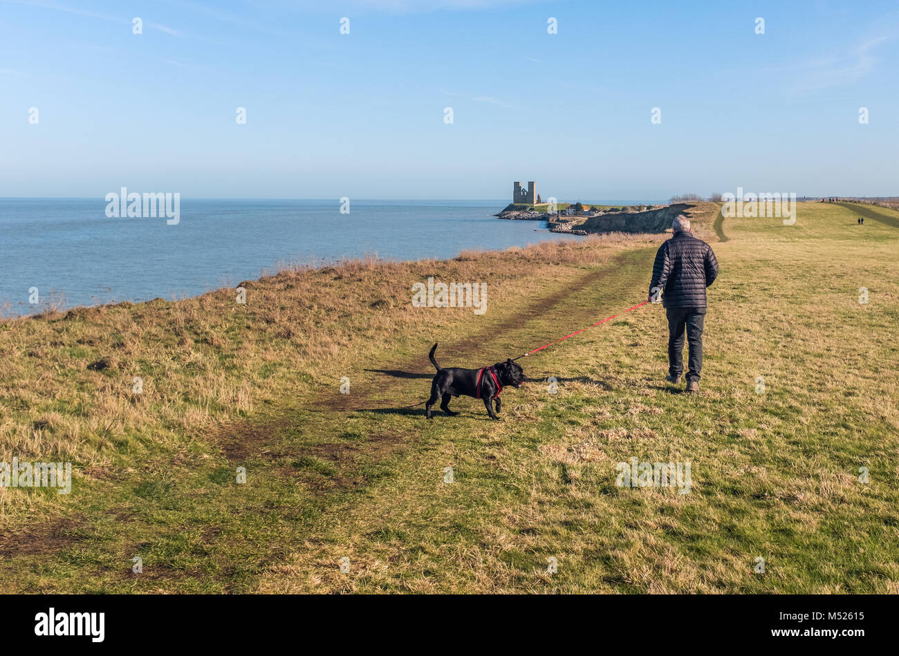 A man walks his dog heading to Reculver Towers, Reculver, Kent, UK ...