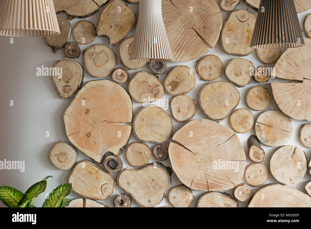 Ecological style hi-res stock photography and images - Alamy