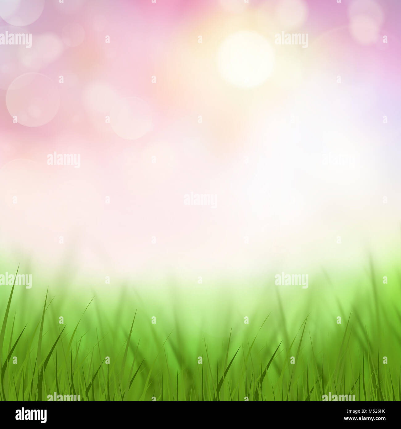 Natural spring and summer background with selective focus and grass on ...