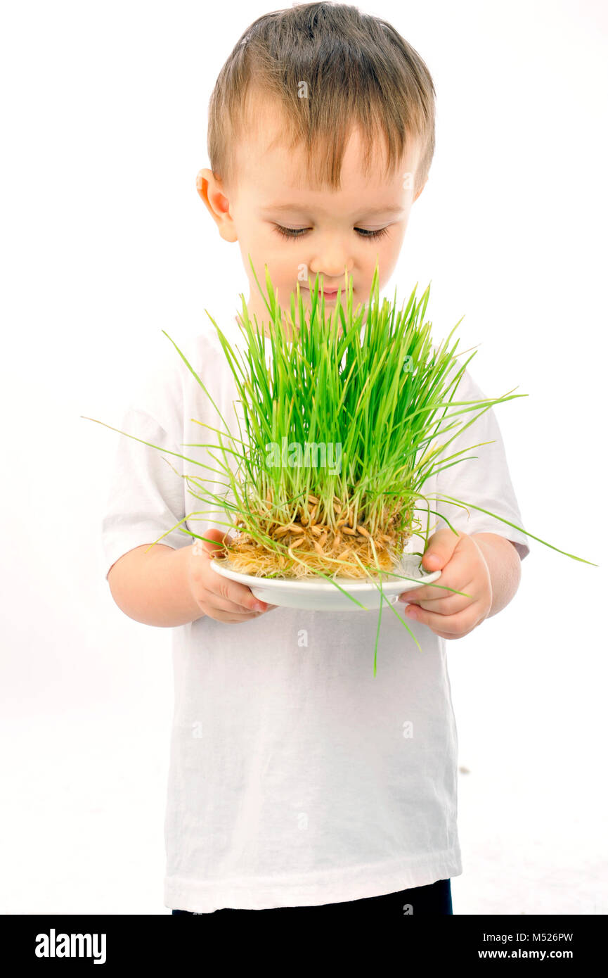 Happy boy taking care of a plant Stock Photo - Alamy