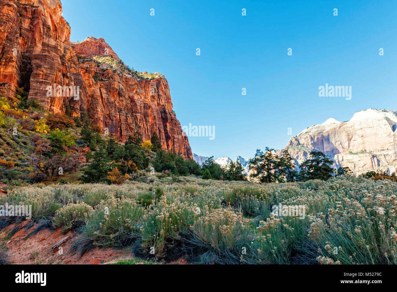 The beautiful contrast between the red cliffs and the white cliffs in ...