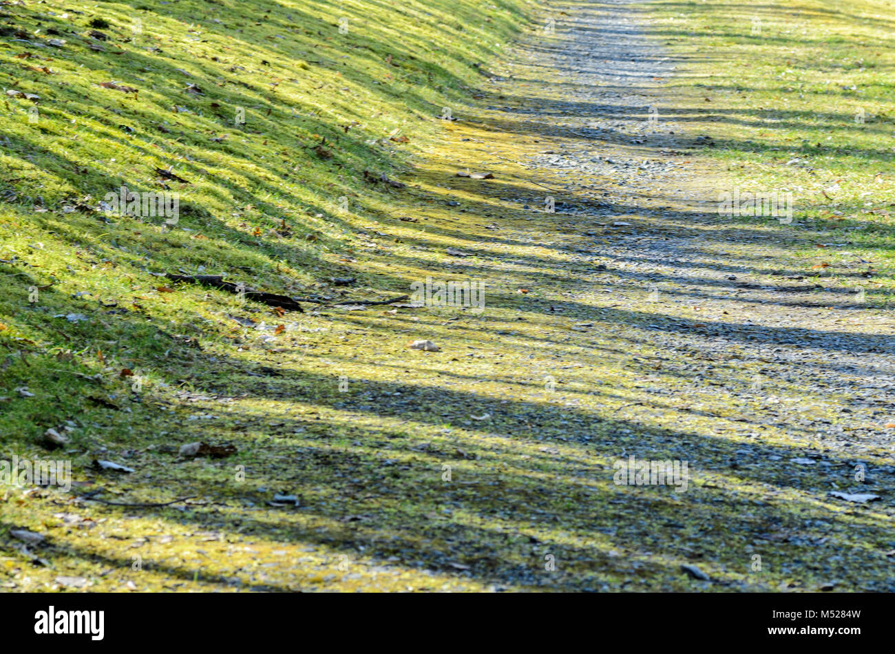 shadows on a npaved path with gras Stock Photo - Alamy