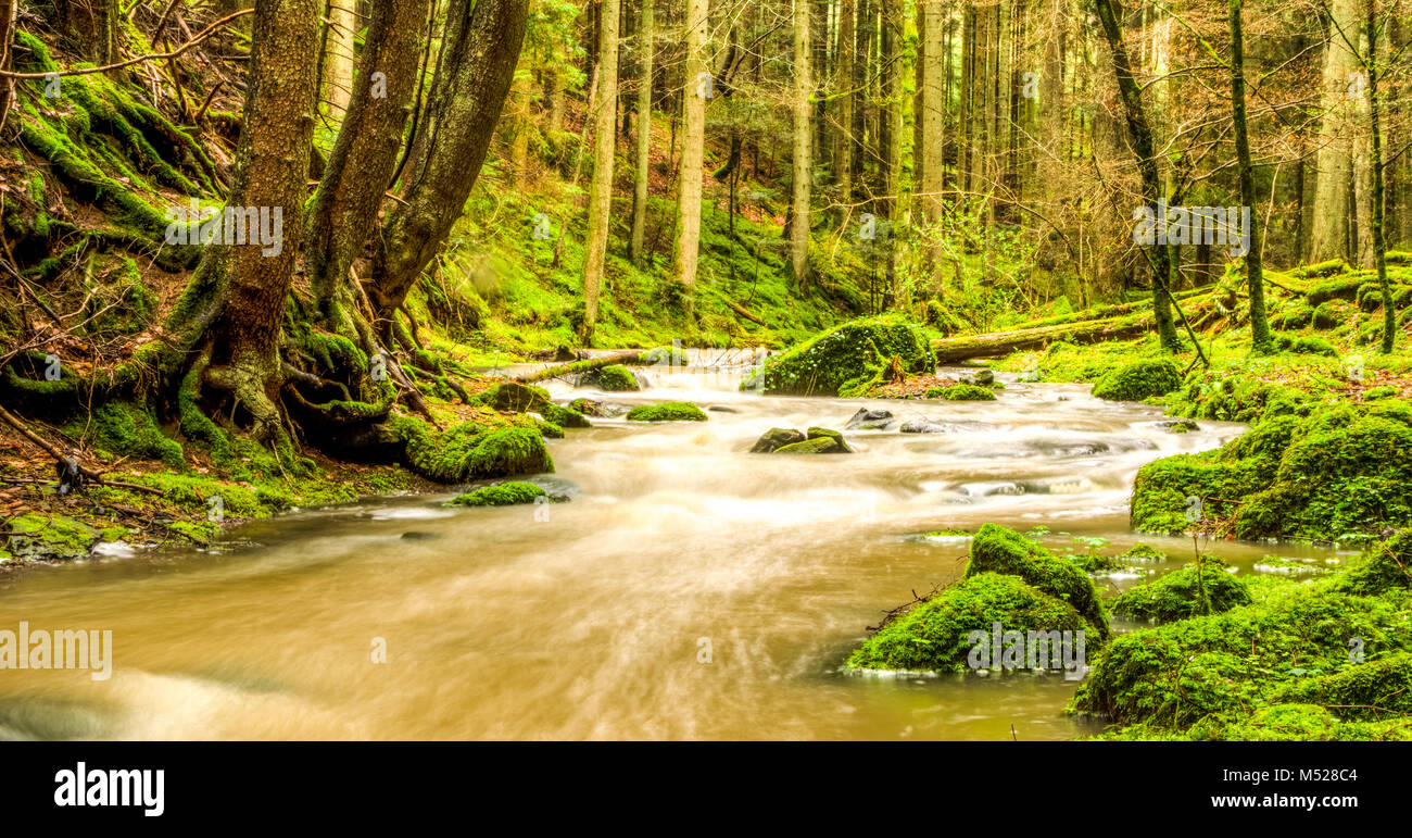 high water in black forrest creek Stock Photo - Alamy