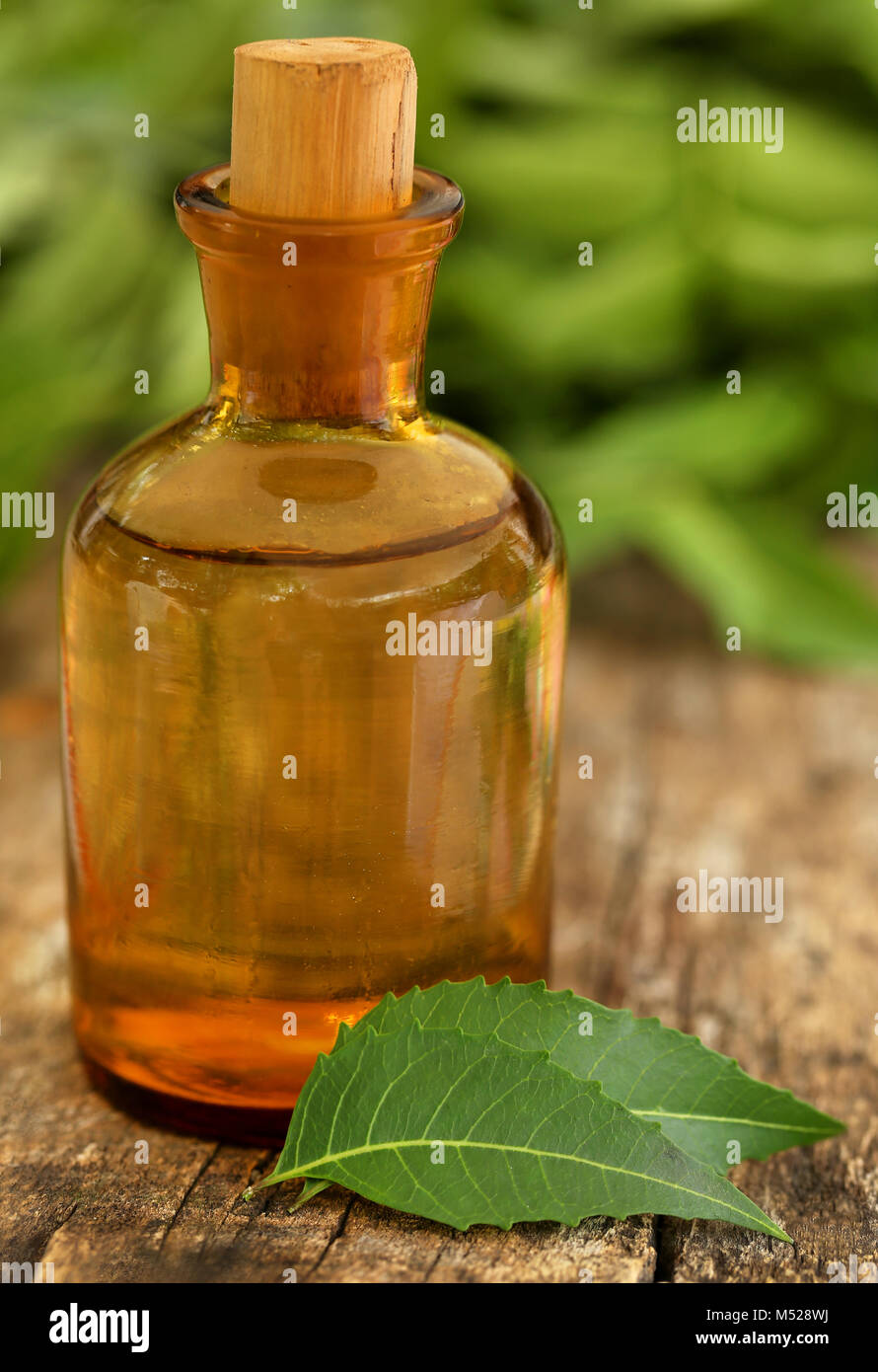 Neem oil hi-res stock photography and images - Alamy