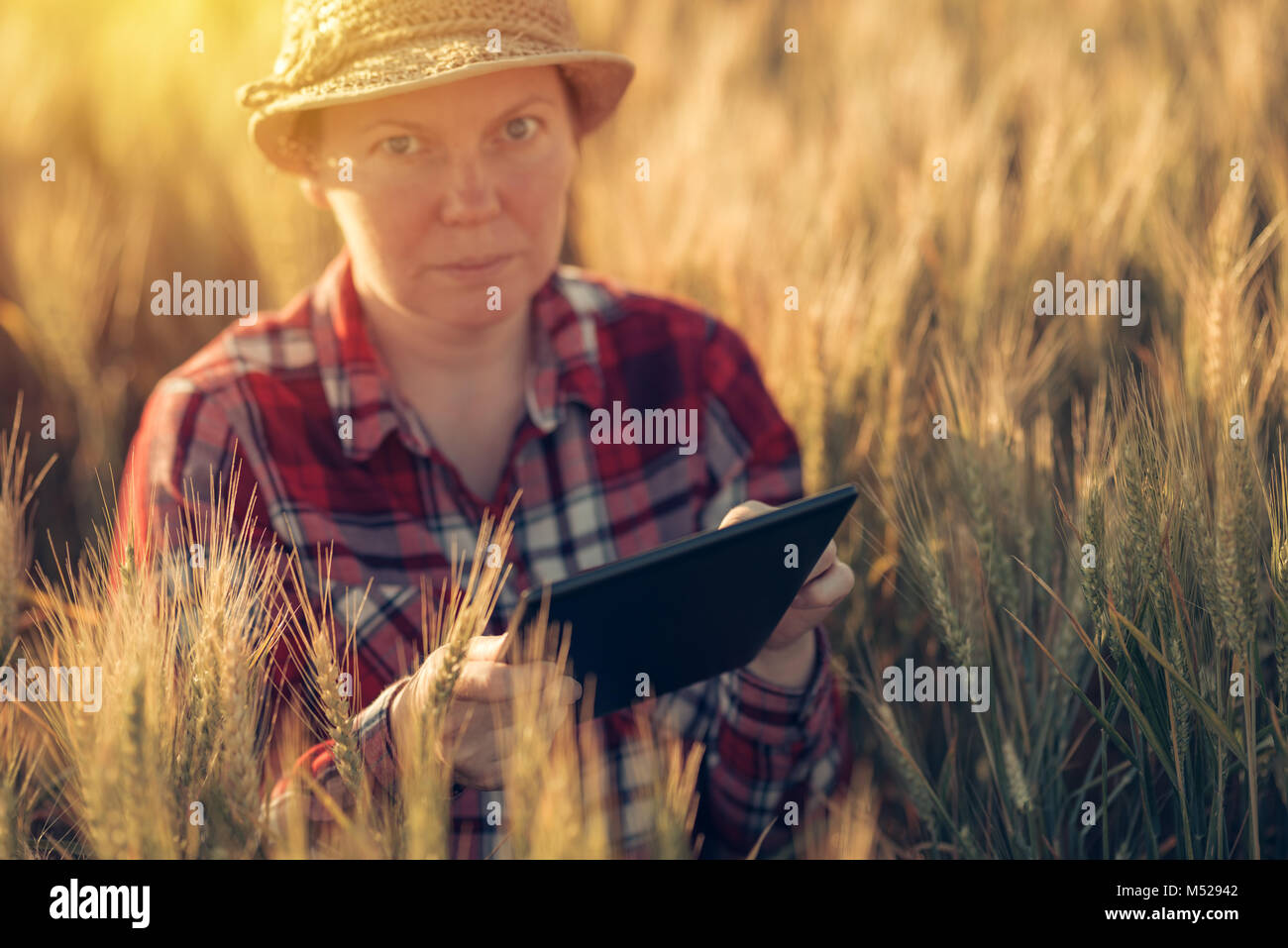Smart farming network hi-res stock photography and images - Alamy