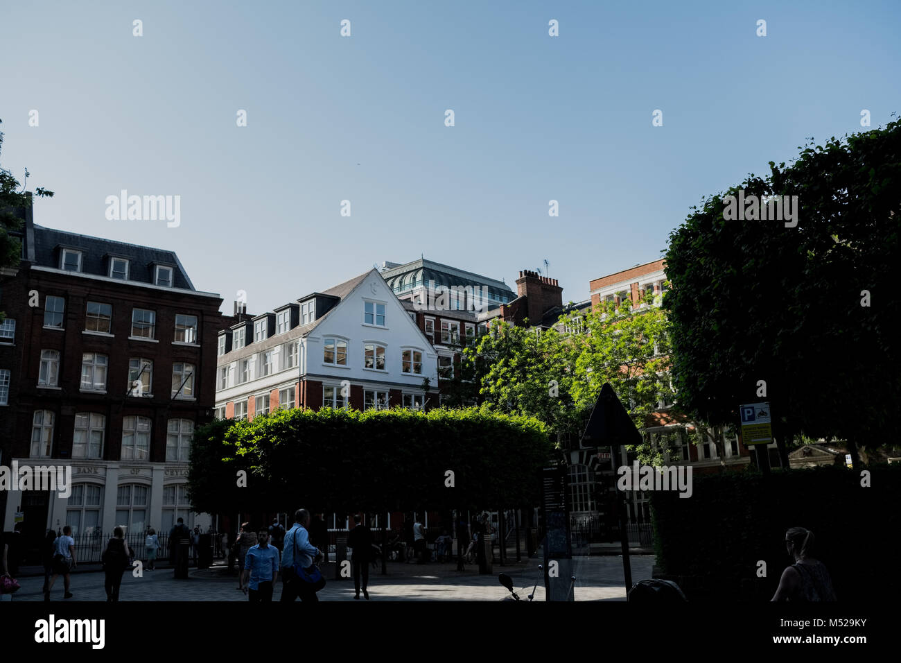Square surrounded tall trees hi-res stock photography and images - Alamy