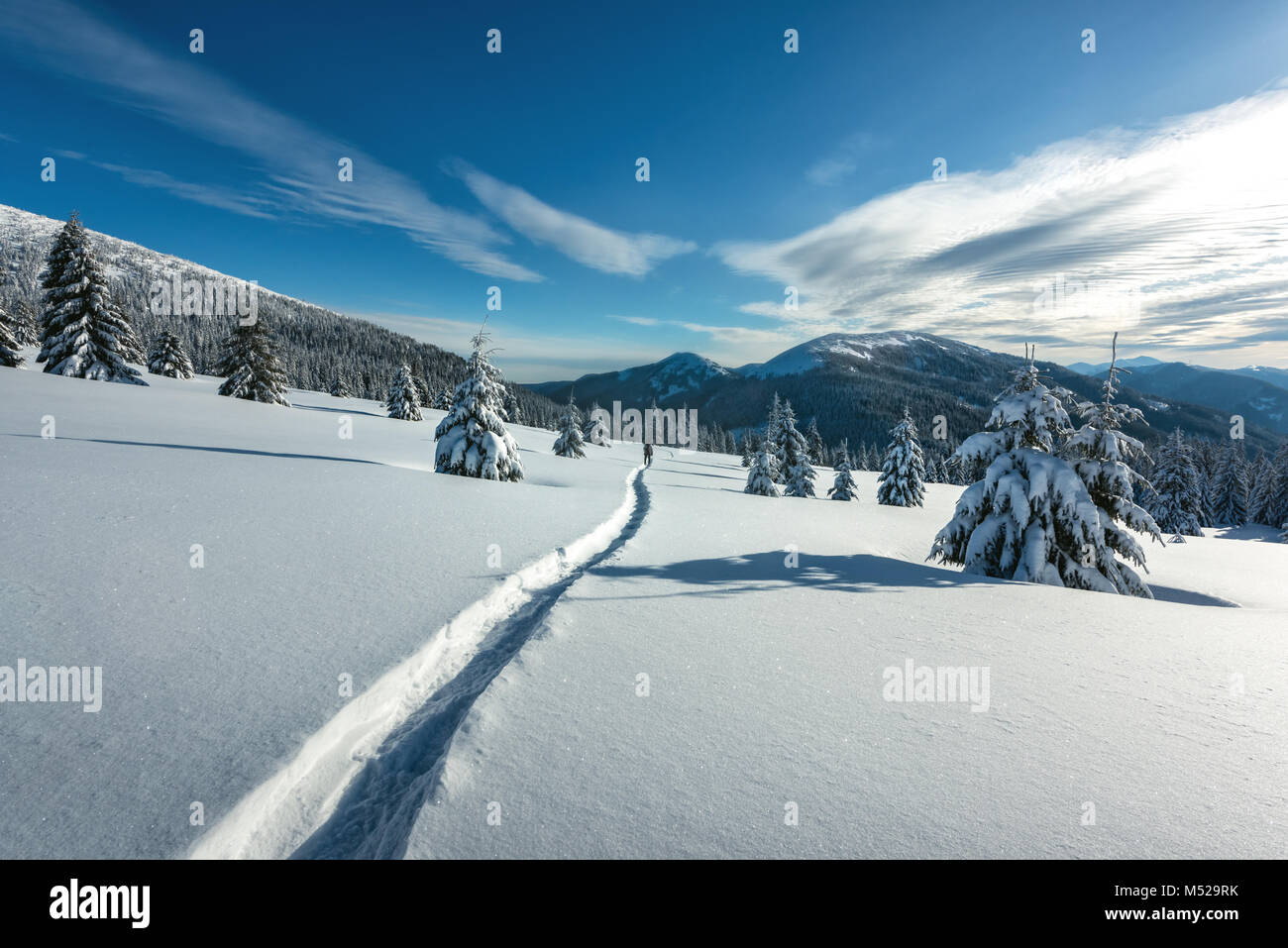 Blue winter landscape fir hi-res stock photography and images - Alamy