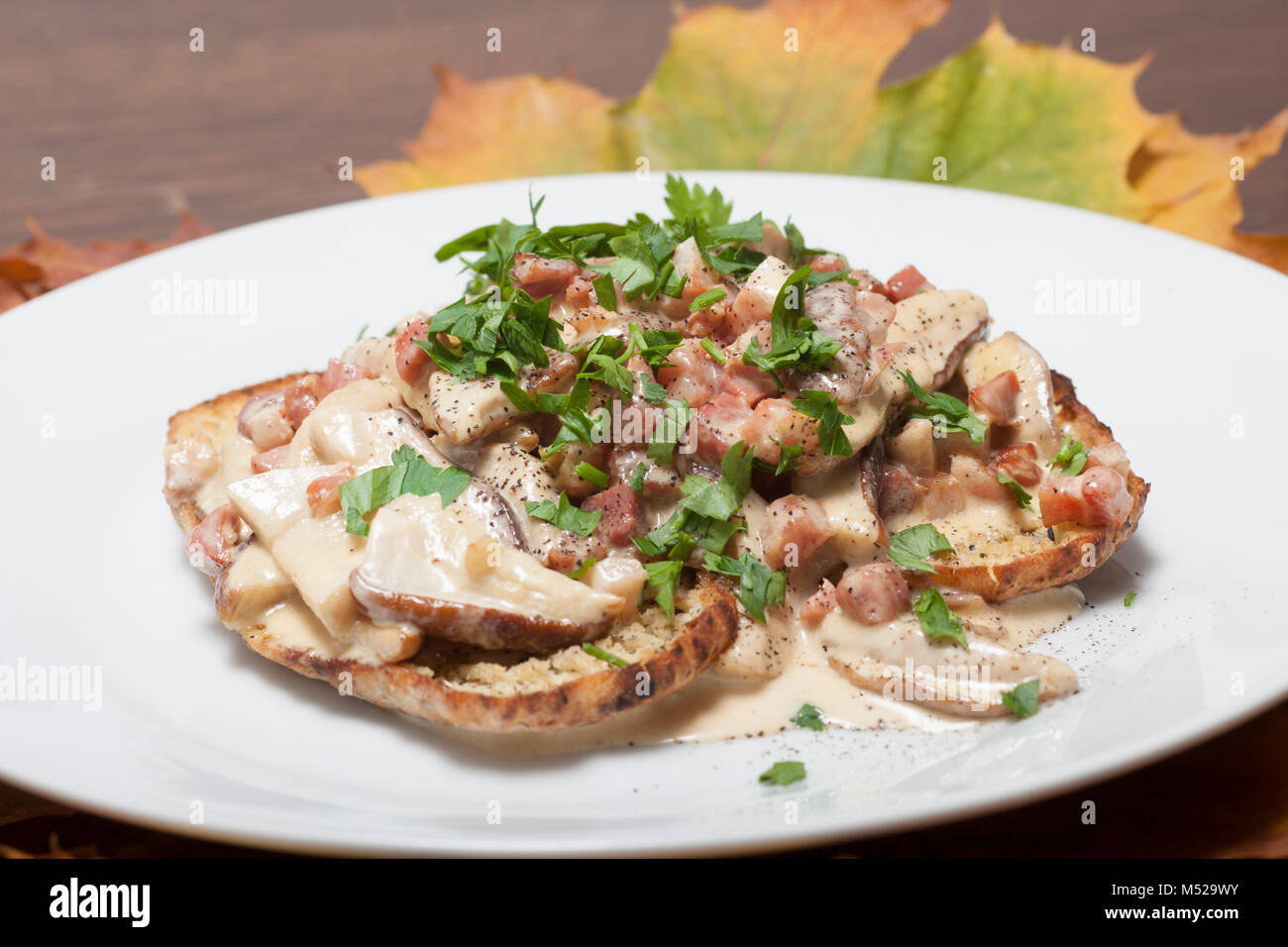 Cep or penny bun fungi, Boletus edulis, served on toast with bacon ...