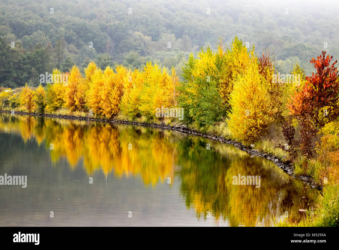 Fall colors around the edge of a lake Stock Photo - Alamy