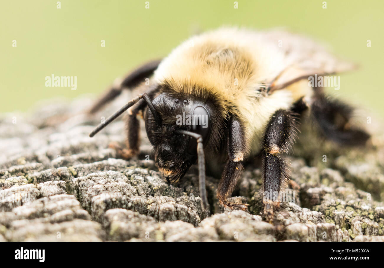 Wooden landing s hi-res stock photography and images - Alamy