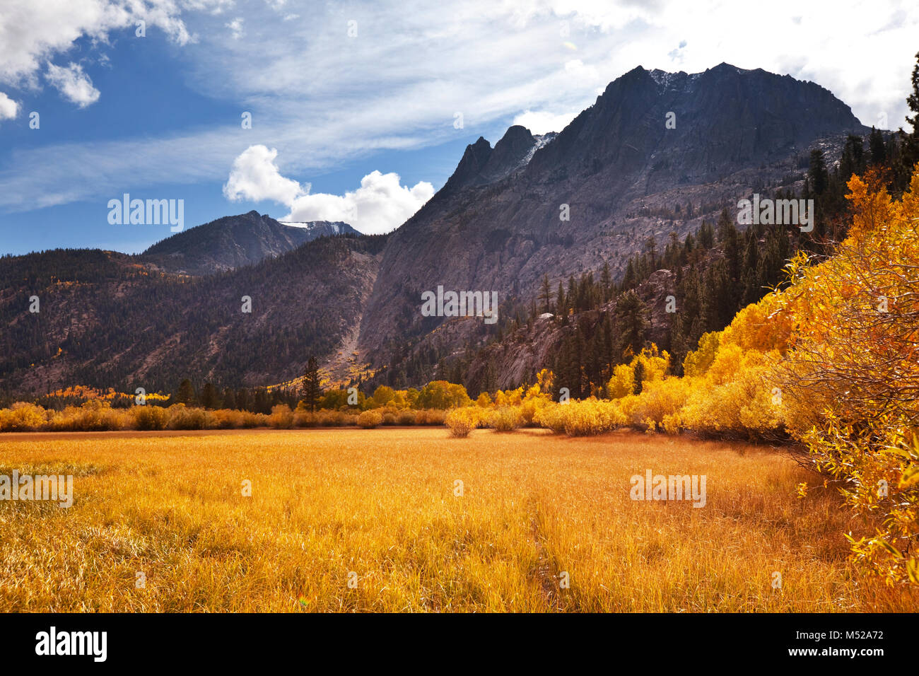 Autumn in Sierra Nevada Stock Photo - Alamy